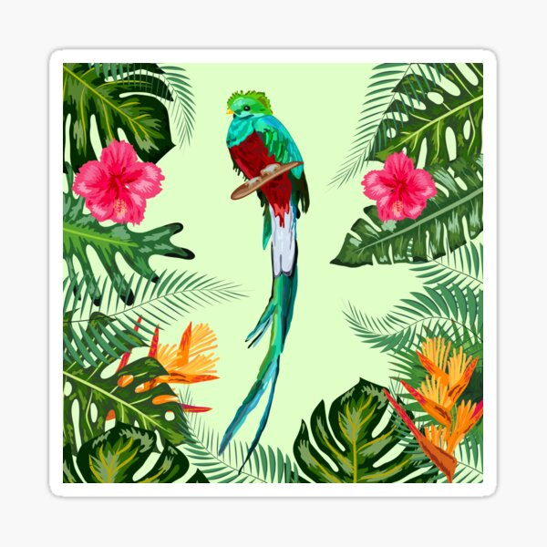 "Guatemala Quetzal" Sticker for Sale by GutsyShop | Redbubble