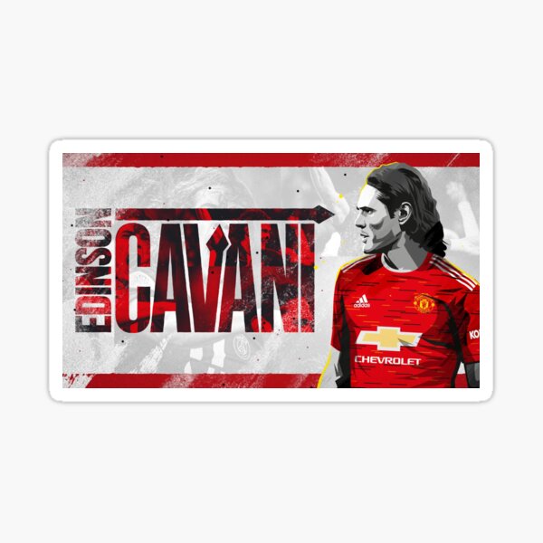 "Wallpaper Cavani Illustration" Sticker by darasergensi | Redbubble