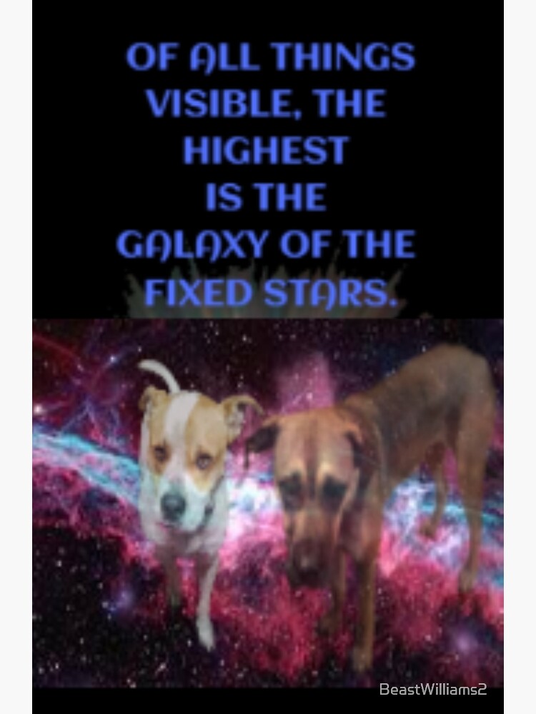"galaxy of fixed stars" Poster for Sale by BeastWilliams2 | Redbubble