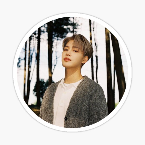 "Nct ♡︎Taeil♡︎ Sticker " Sticker for Sale by KpopHeart | Redbubble