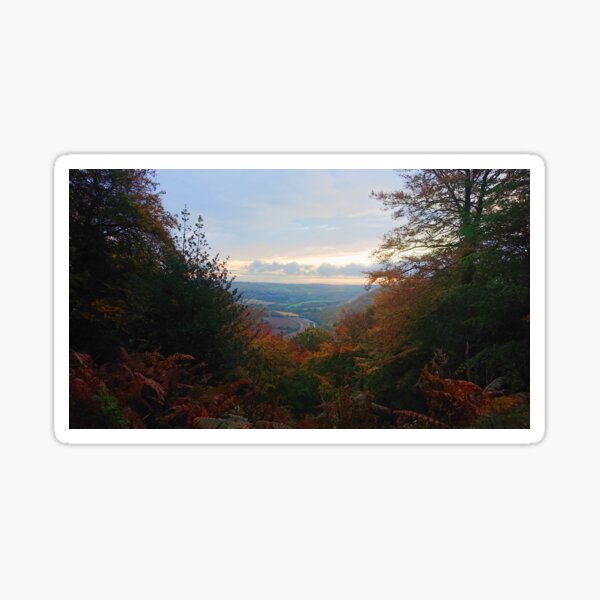 "Absolutely gorgeous autumn views in the forest over the Wye Valley ...