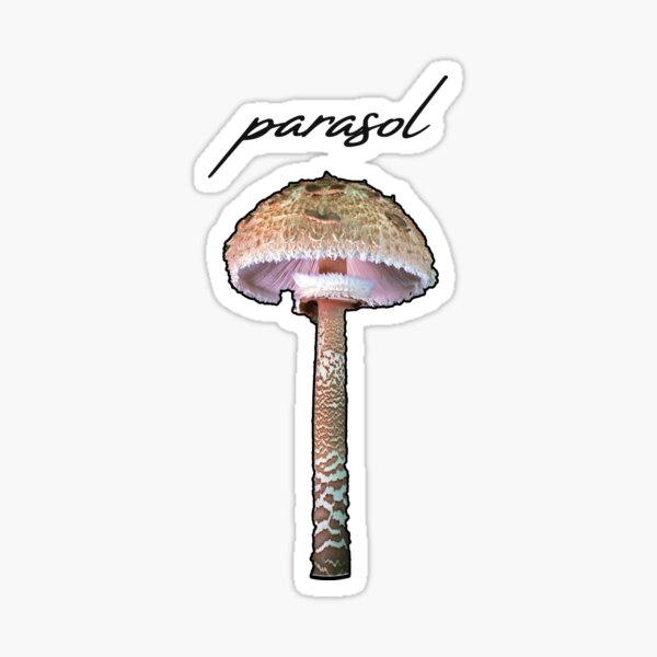 "Parasol Fungus" Sticker by SciHiFi | Redbubble