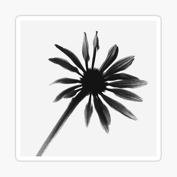 "Black flower" Sticker for Sale by mariannehope | Redbubble