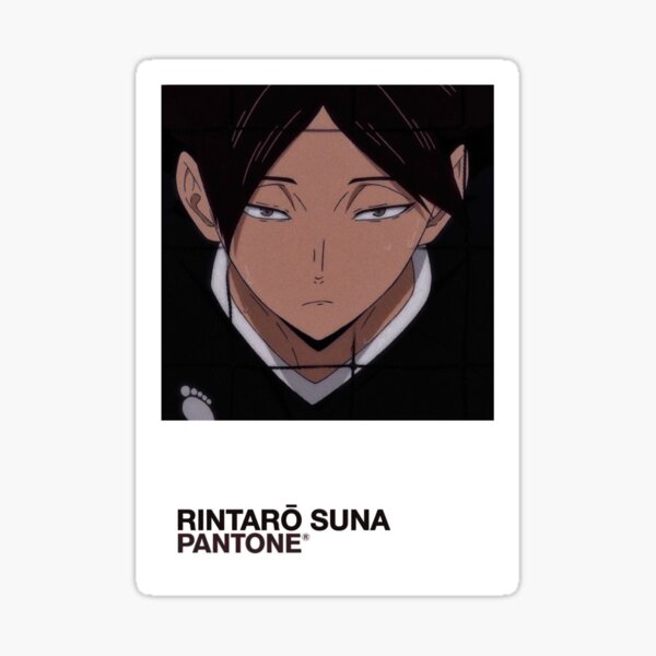 Rintaro Suna Sticker Set! Embellishments Craft Supplies & Tools etna.com.pe