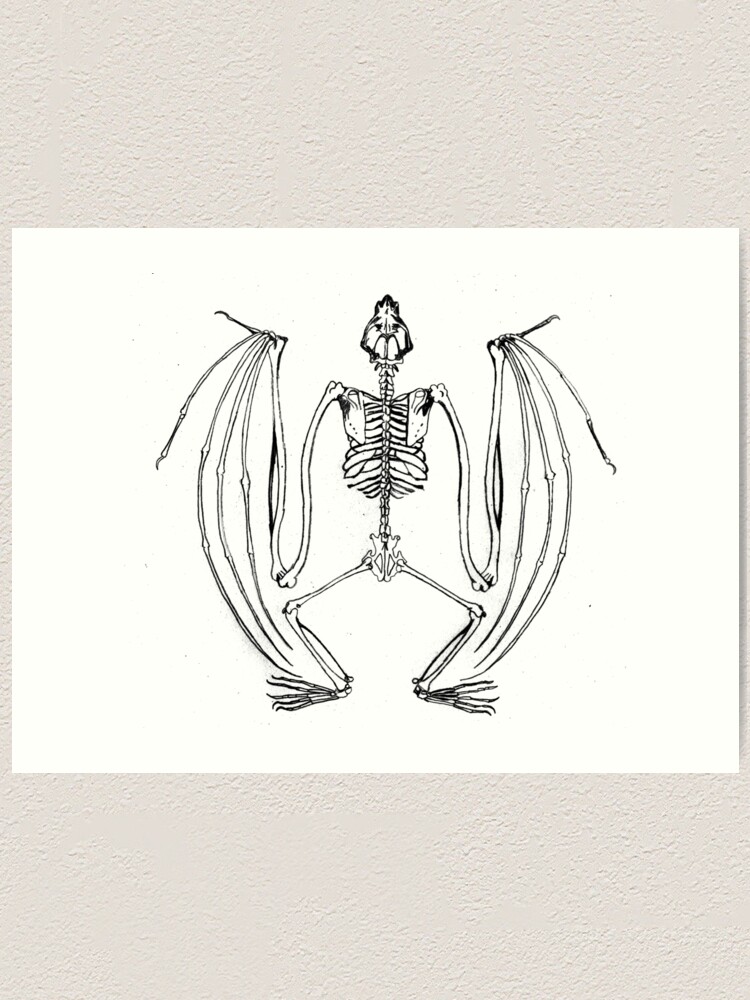 "Bat Skeleton Halloween Drawing" Art Print for Sale by Skullnsoftbones ...