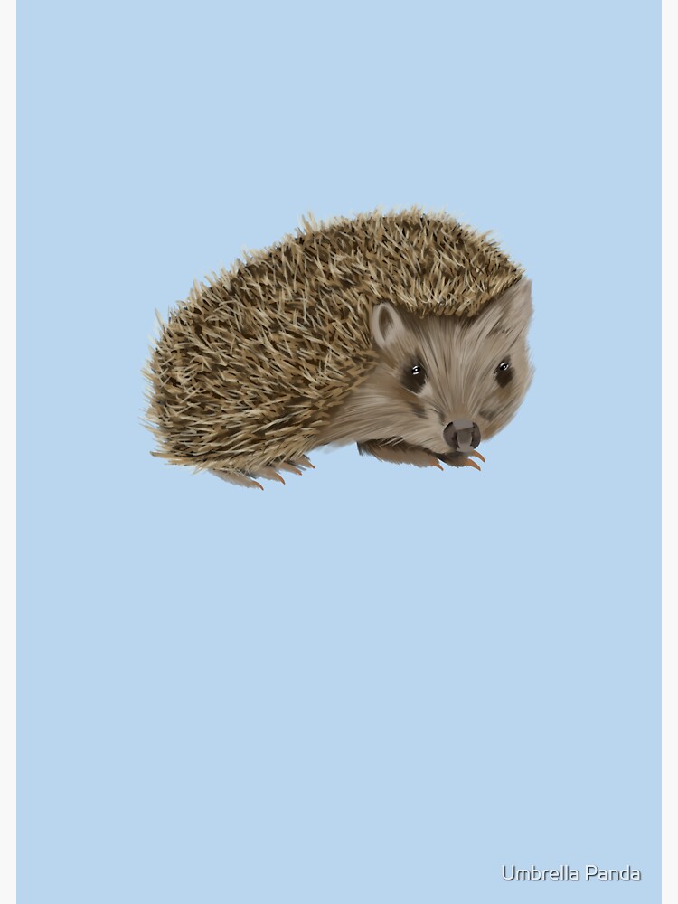 "Hedgehog just saying HIi" Sticker for Sale by GeckoToYou | Redbubble