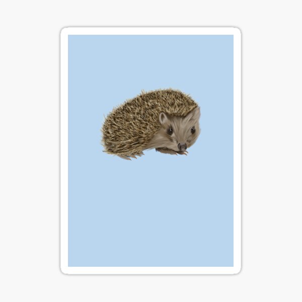 "Hedgehog just saying HIi" Sticker for Sale by GeckoToYou | Redbubble