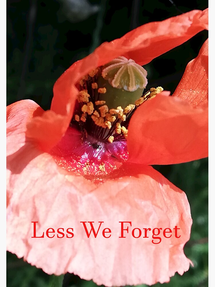 "Less we forgot" Sticker by Naturemanart | Redbubble