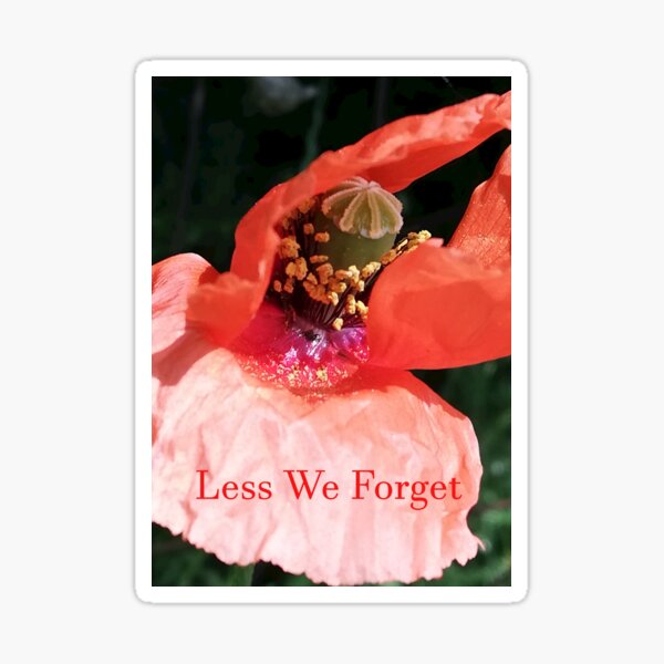 "Less we forgot" Sticker by Naturemanart | Redbubble