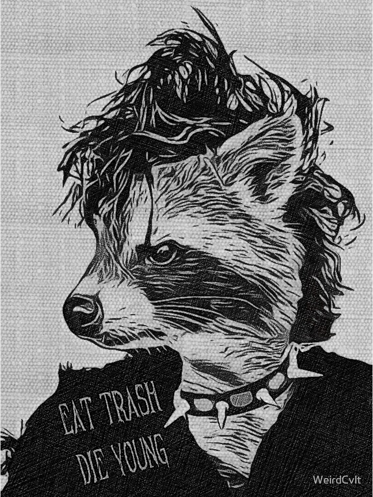"Punk Rock Raccoon " Poster by WeirdCvlt | Redbubble