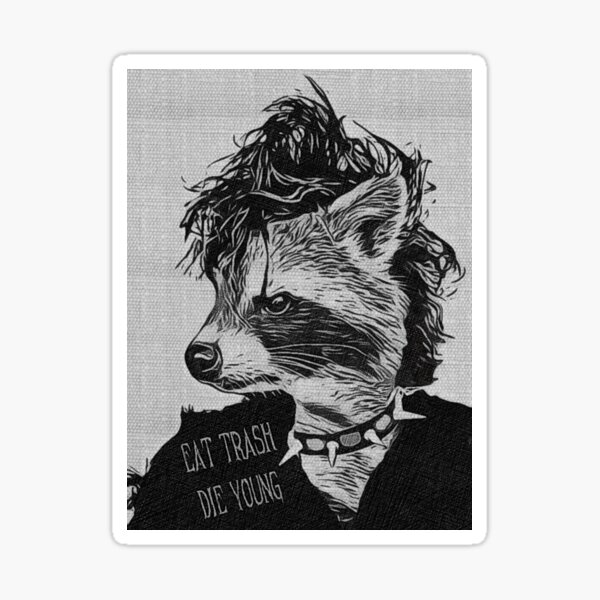 "Punk Rock Raccoon " Sticker by WeirdCvlt | Redbubble
