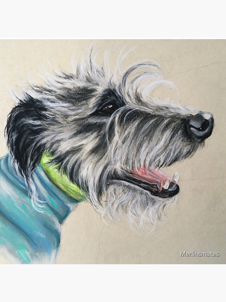 "Scruffy Lurcher blue jumper " Throw Pillow for Sale by Merlinsmates ...