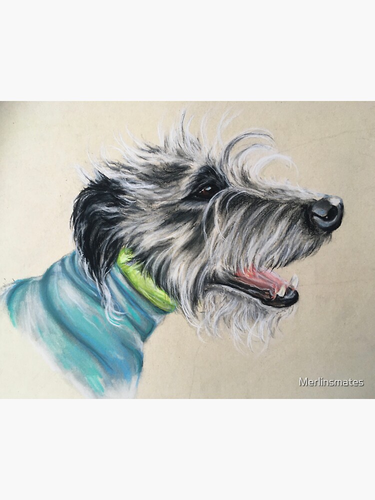 "Scruffy Lurcher blue jumper " Sticker for Sale by Merlinsmates | Redbubble