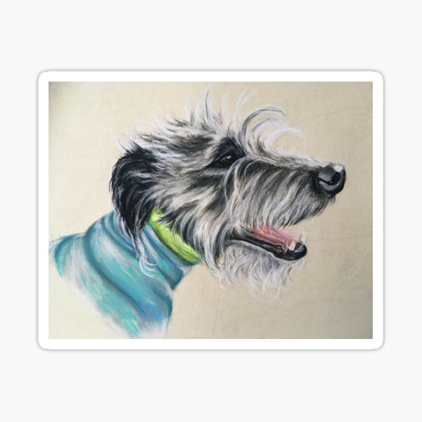 "Scruffy Lurcher blue jumper " Sticker for Sale by Merlinsmates | Redbubble