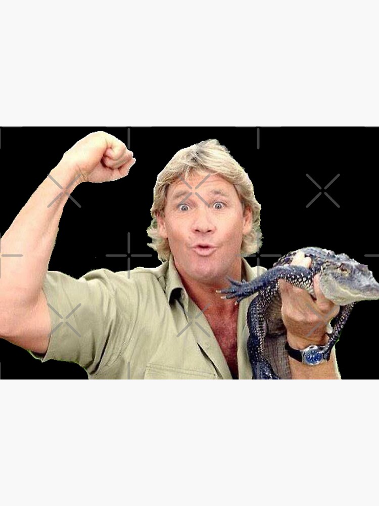 "Steve Irwin " Sticker by Kendra148 | Redbubble