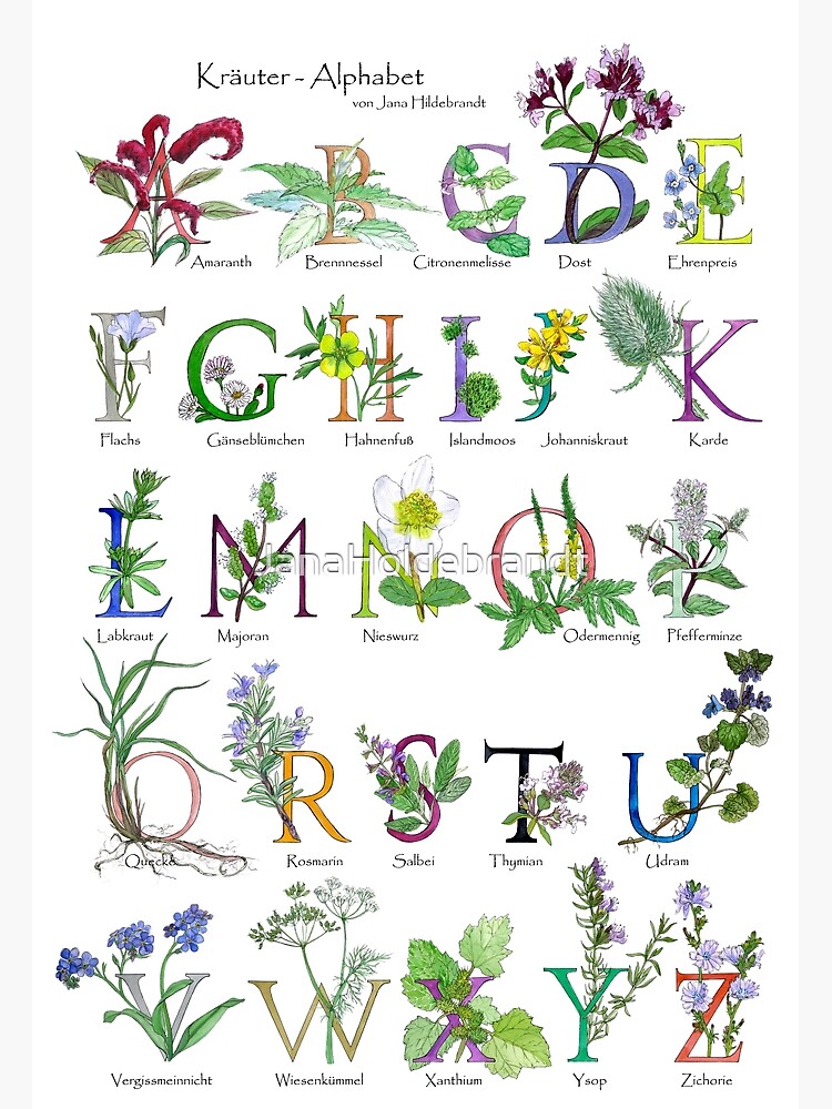 "Herb alphabet " Photographic Print for Sale by JanaHoldebrandt | Redbubble