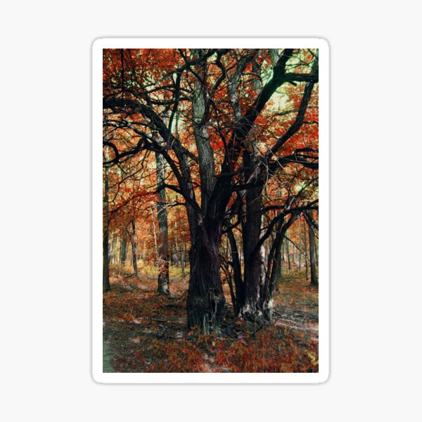 "fall tree" Sticker for Sale by leebradford | Redbubble
