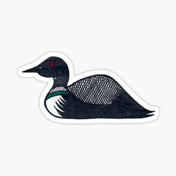"Common Loon" Sticker for Sale by Casual-Funeral | Redbubble