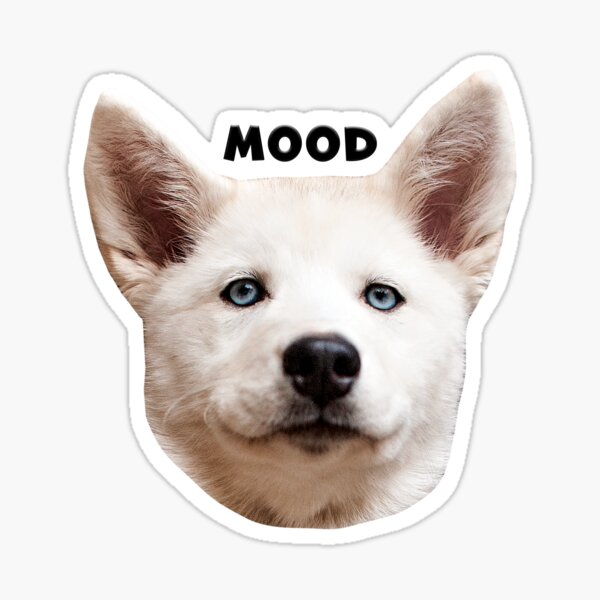 "Grumpy Husky Puppy Mood" Sticker for Sale by KellyLoo22 | Redbubble