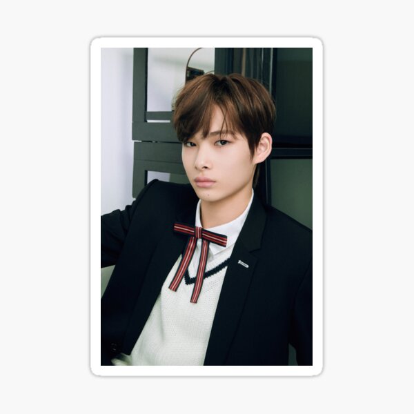 "ENHYPEN PROFILE NIKI" Sticker for Sale by PD101EMPORIUM | Redbubble