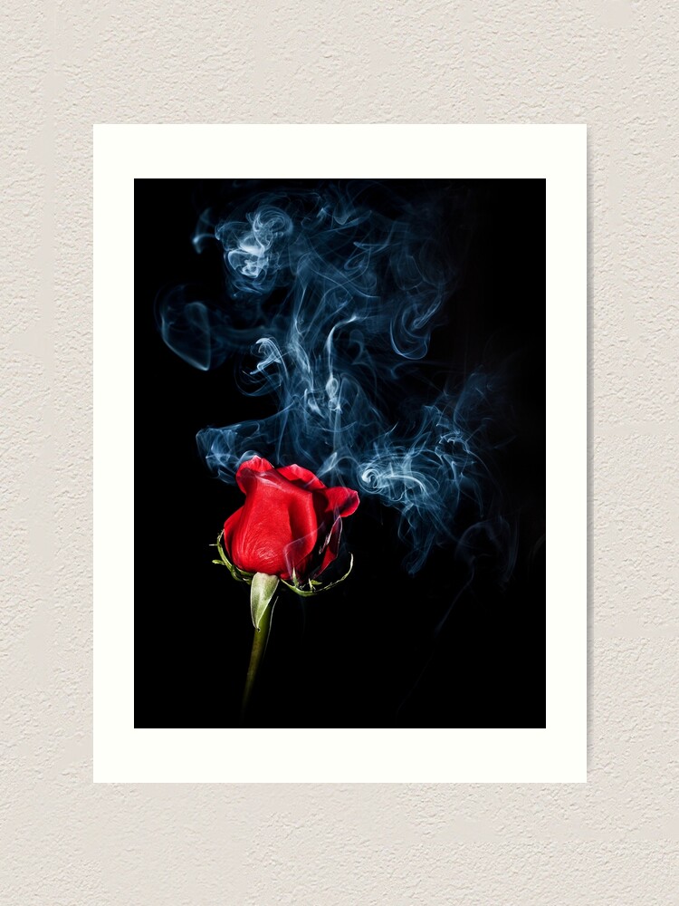 "Smoky Rose" Art Print for Sale by AprilKoehler | Redbubble