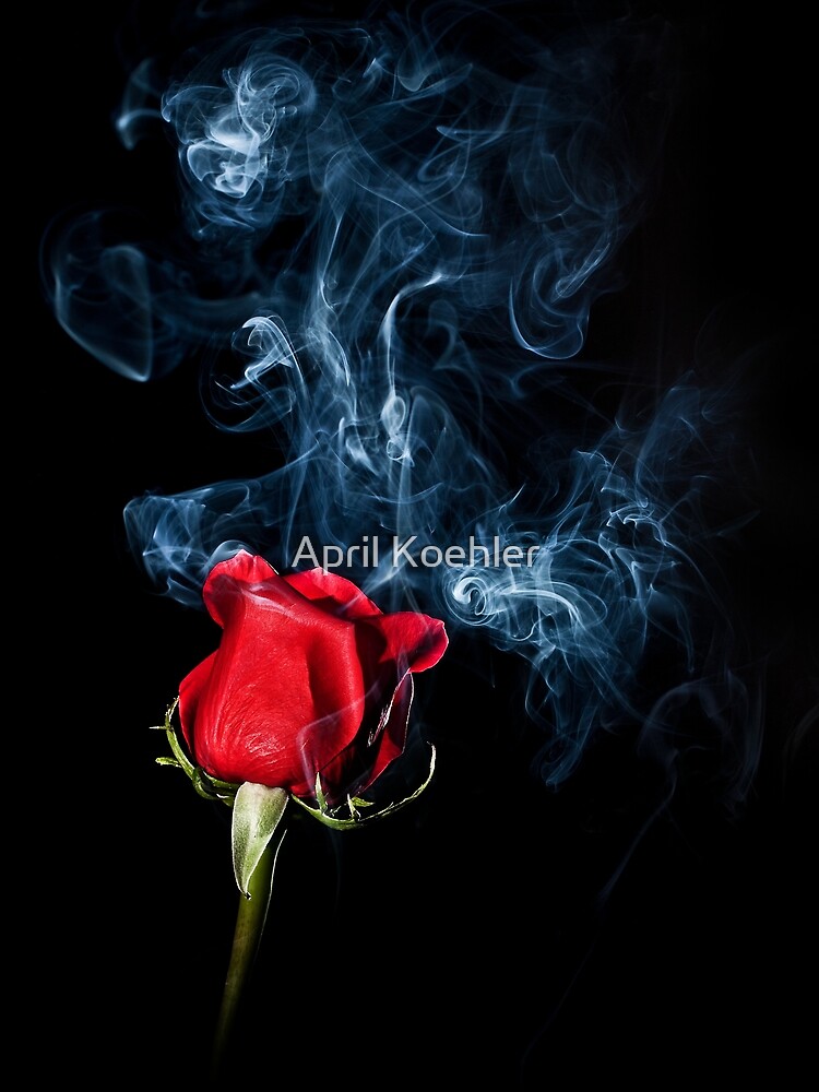 "Smoky Rose" Art Print for Sale by AprilKoehler | Redbubble