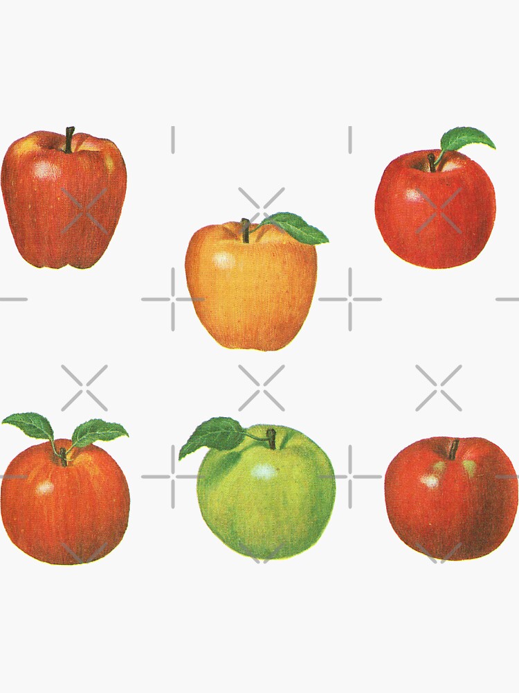 "Apple Sticker Pack - Vintage Retro Sticker Sheet" Sticker for Sale by ...