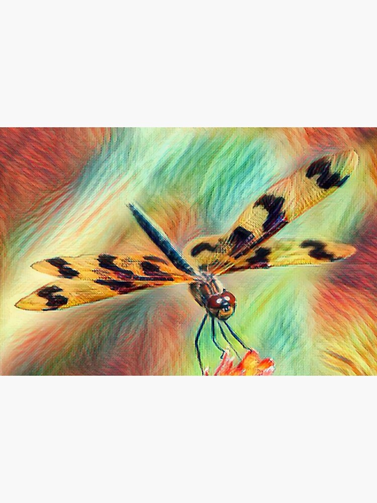 "Graphic Flutterer Dragonfly" Poster for Sale by Wanderingeagles ...