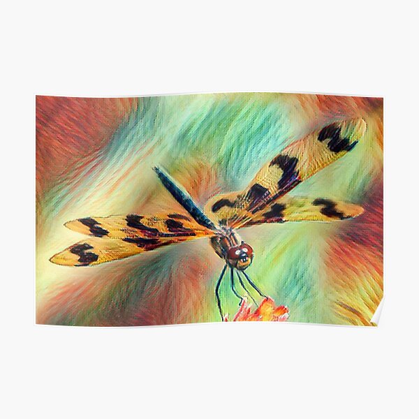 "Graphic Flutterer Dragonfly" Poster for Sale by Wanderingeagles ...