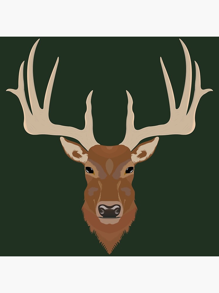 "Stag face drawing with details " Poster for Sale by himali001 | Redbubble