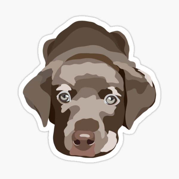 "Coco Lab Puppy Dog Portrait Digital Illustration" Sticker for Sale by ...