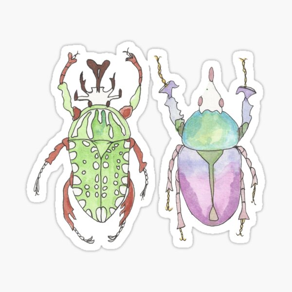 "duo of colored beetles" Sticker for Sale by pentaenix | Redbubble