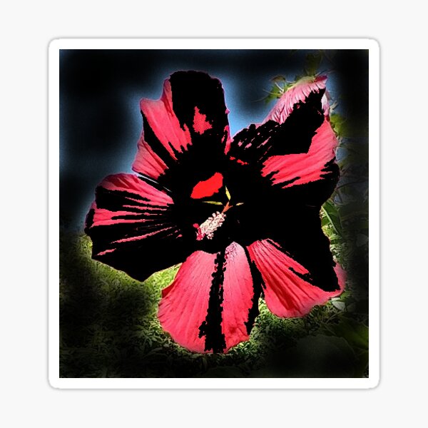"Altered Red Petunia" Sticker for Sale by Manicmedusas | Redbubble