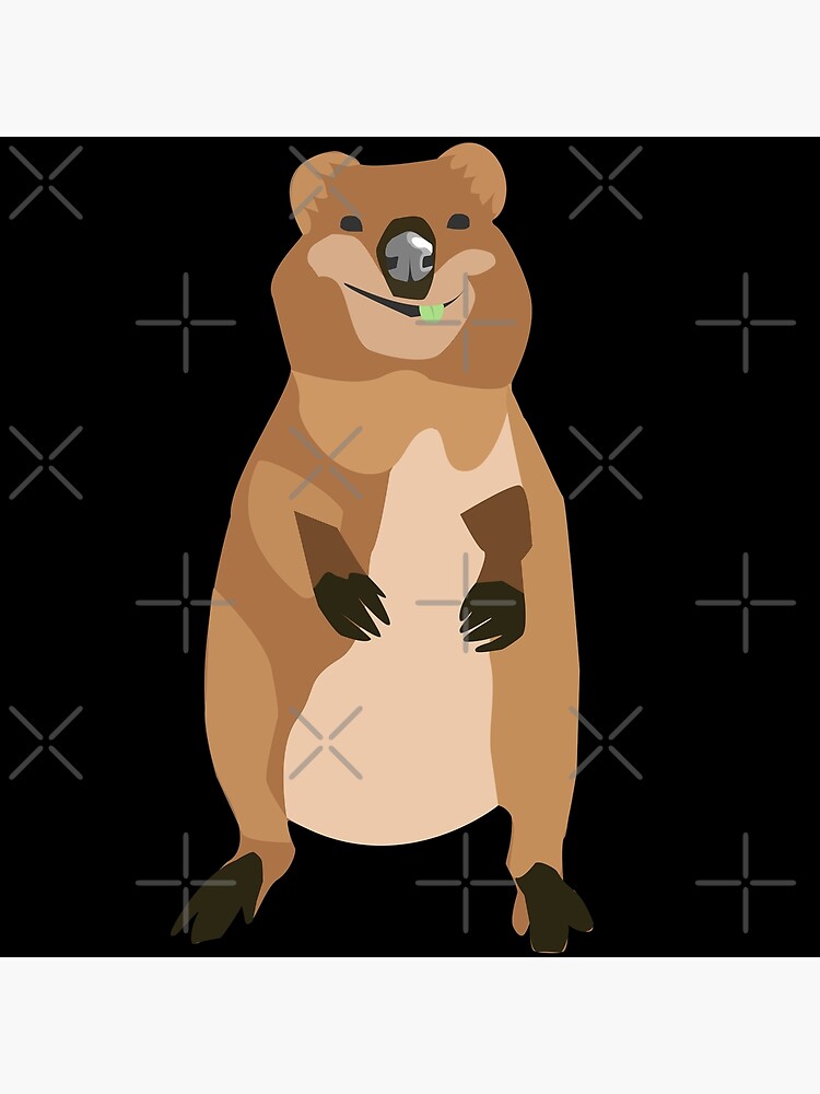 "Cute Quokka Eating a Leaf" Poster for Sale by InvestingRoad | Redbubble