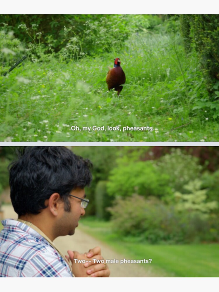 "Funny pheasants meme from the great british bake off" Sticker for Sale by TheBritishShop ...