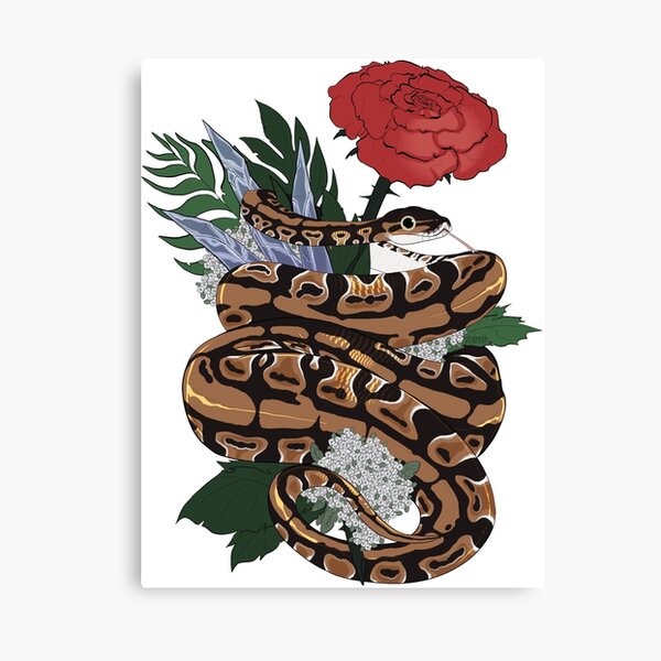 Ball Python Canvas Prints | Redbubble