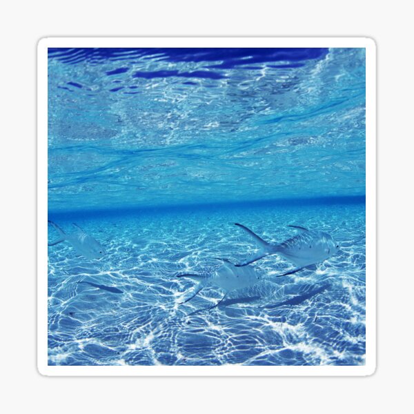 "Blue Ocean Underwater" Sticker for Sale by Rockergandalf | Redbubble
