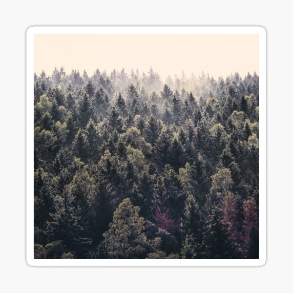 "Come Home" Sticker for Sale by tekay | Redbubble