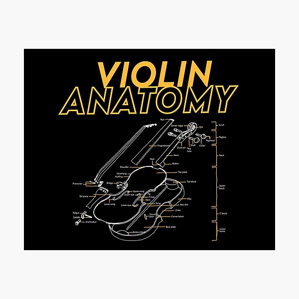 "twoset violin - violin anatomy drawing diagram limited edition ...