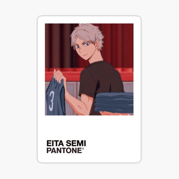 "Eita Semi Color Swatch" Sticker for Sale by dayna5970 | Redbubble