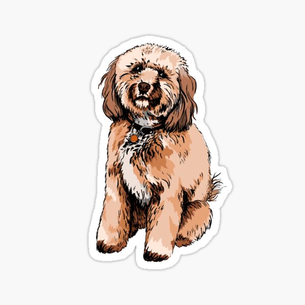 "Cavoodle (Cavapoo) Puppy Dog" Sticker for Sale by kaylareay | Redbubble
