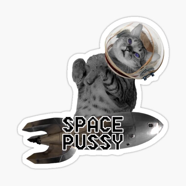 "Space Pussy" Sticker by izmartin | Redbubble