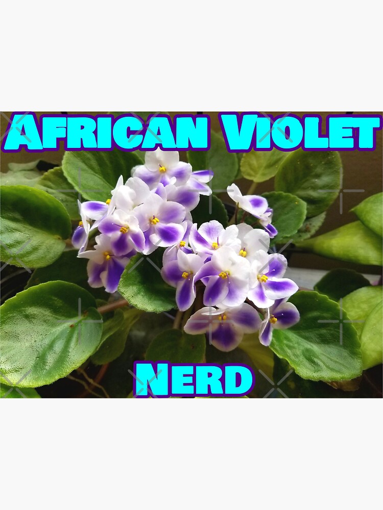"Africant Violet Nerd" Sticker for Sale by Pantherxel | Redbubble