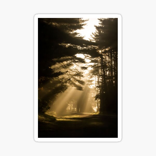 "Rays of light" Sticker for Sale by CHRISTINARAD | Redbubble