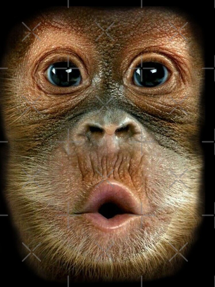 "Funny Chimpanzee face" Sleeveless Top for Sale by More than Myriad ...