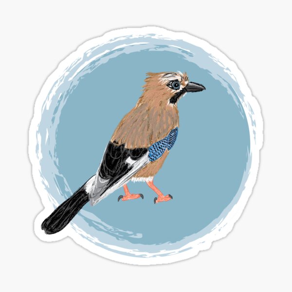 "Artwork of an Eurasian Jay II" Sticker for Sale by JDHegemann | Redbubble