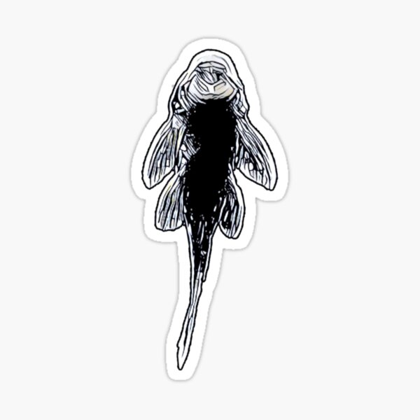 "Pleco Plecostomus Fish Keeper" Sticker for Sale by JRRTs | Redbubble