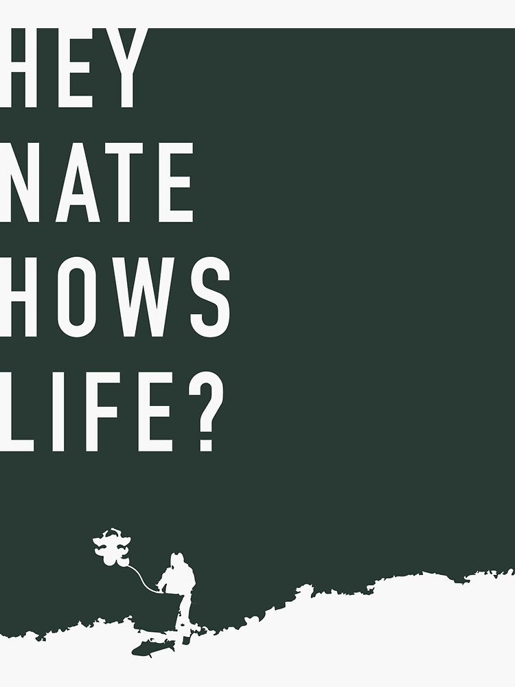 "NF - HEY NATE HOWS LIFE?" Sticker for Sale by Jackums | Redbubble