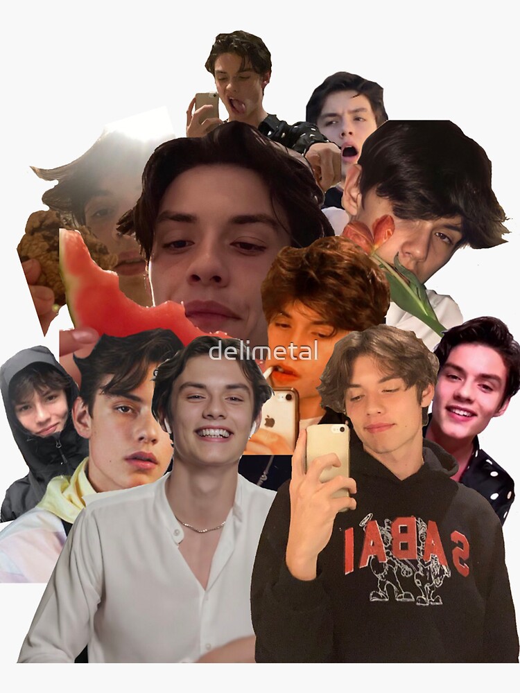 "louis partridge collage" Sticker for Sale by delimetal | Redbubble