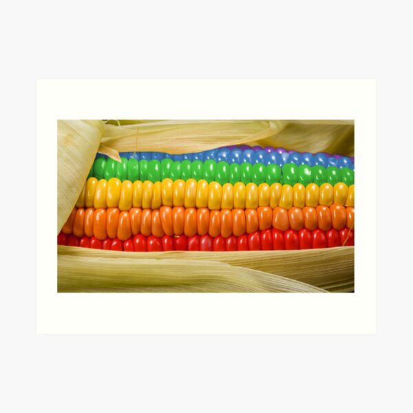 "Rainbow Corn" Art Print for Sale by KittyBitty1 | Redbubble